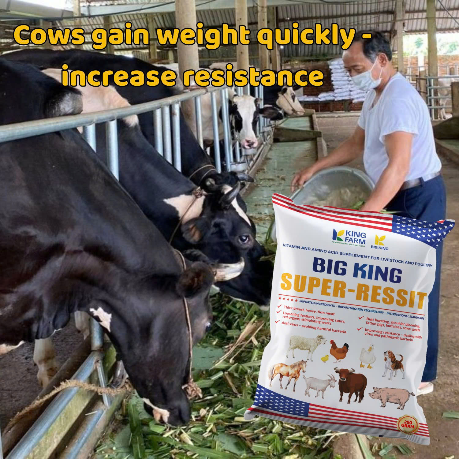 Big King USA 250G Growth Booster Feed for Pigs, Cattle, Poultry Fast ...
