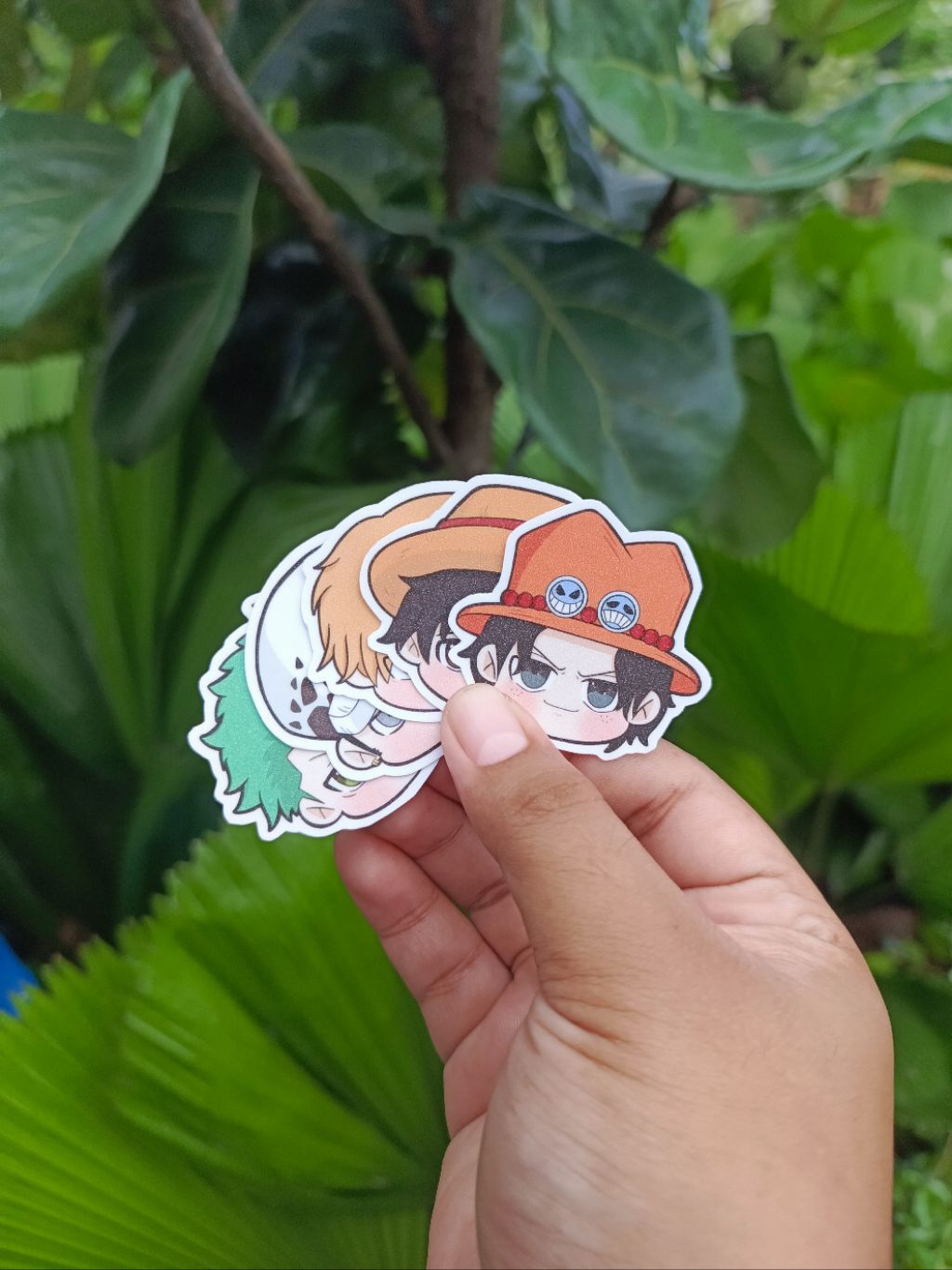 One Piece Sticker Set | Shopee Philippines