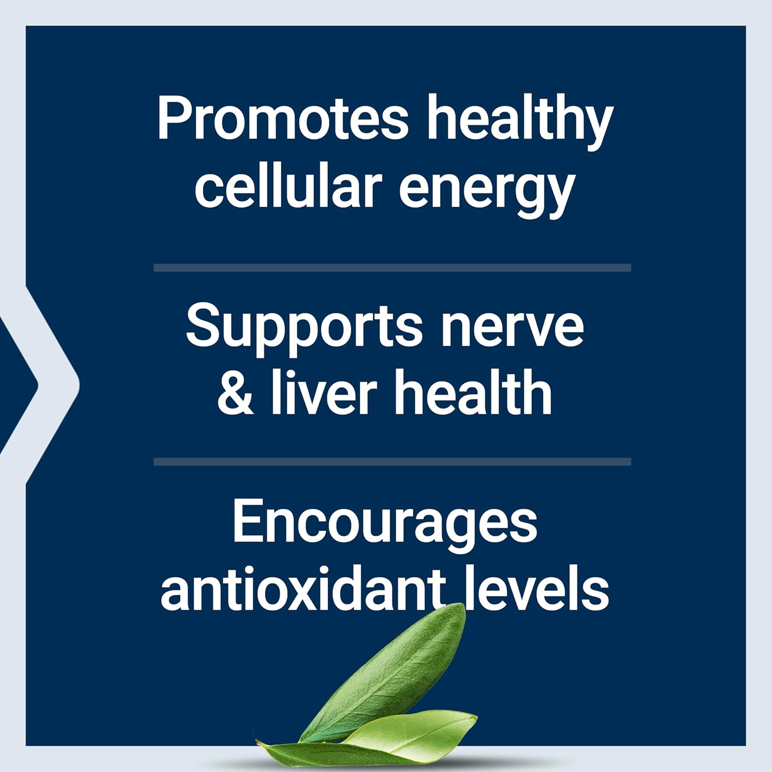 Health Secrets | Life Extension, Alpha-Lipoic Acid with Biotin ( Nerve ...