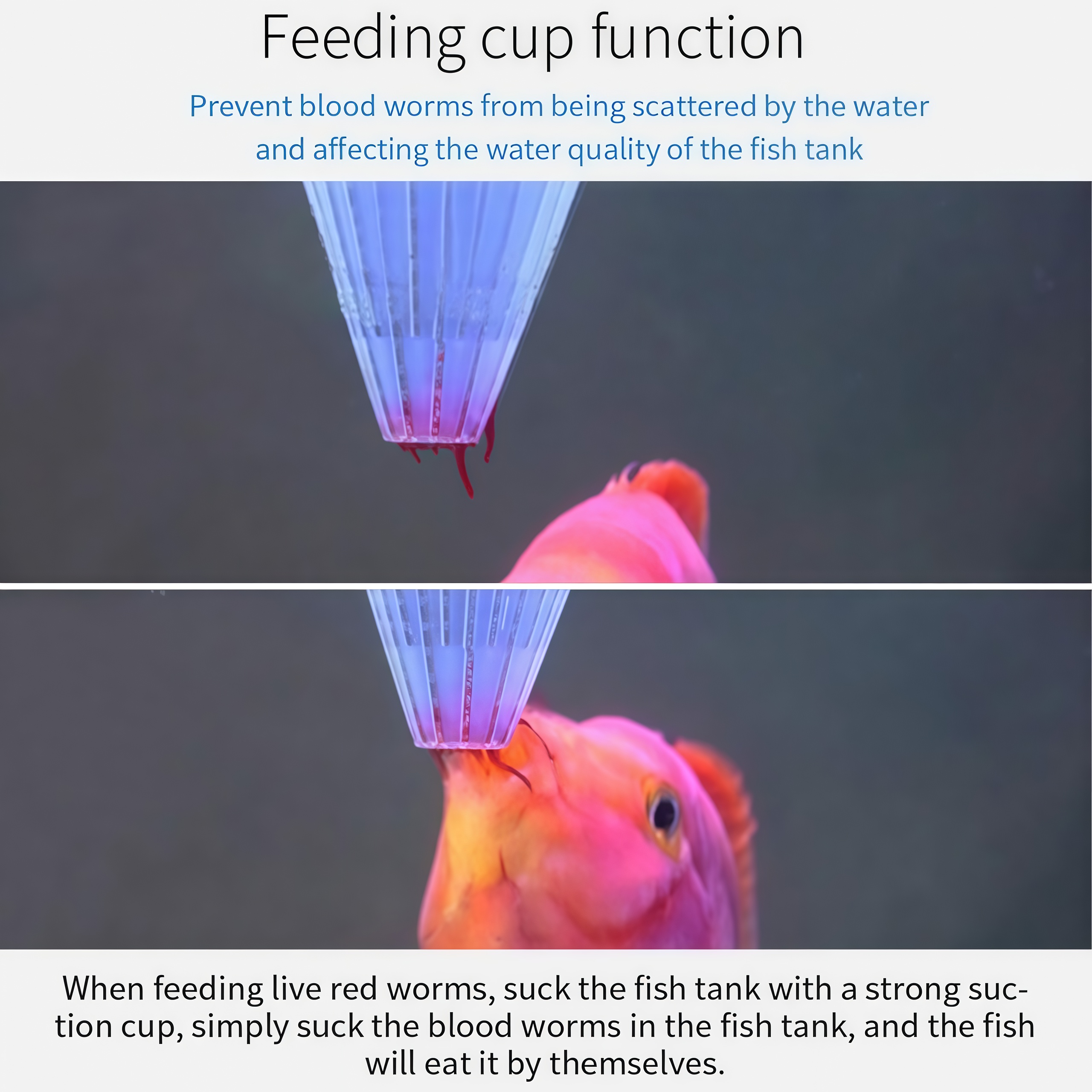 1pcs Cone feeder or bloodworm cup holder or tubifex worm holder ...