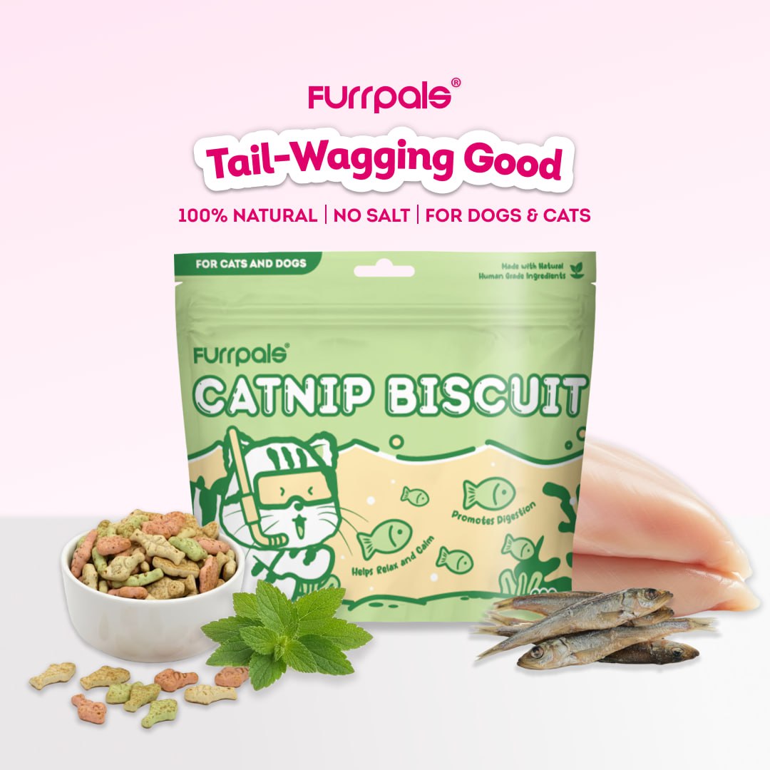 Furrpals Catnip Biscuit Cat Cookies Chicken+Fish+Mint Flavor 200g Molar ...