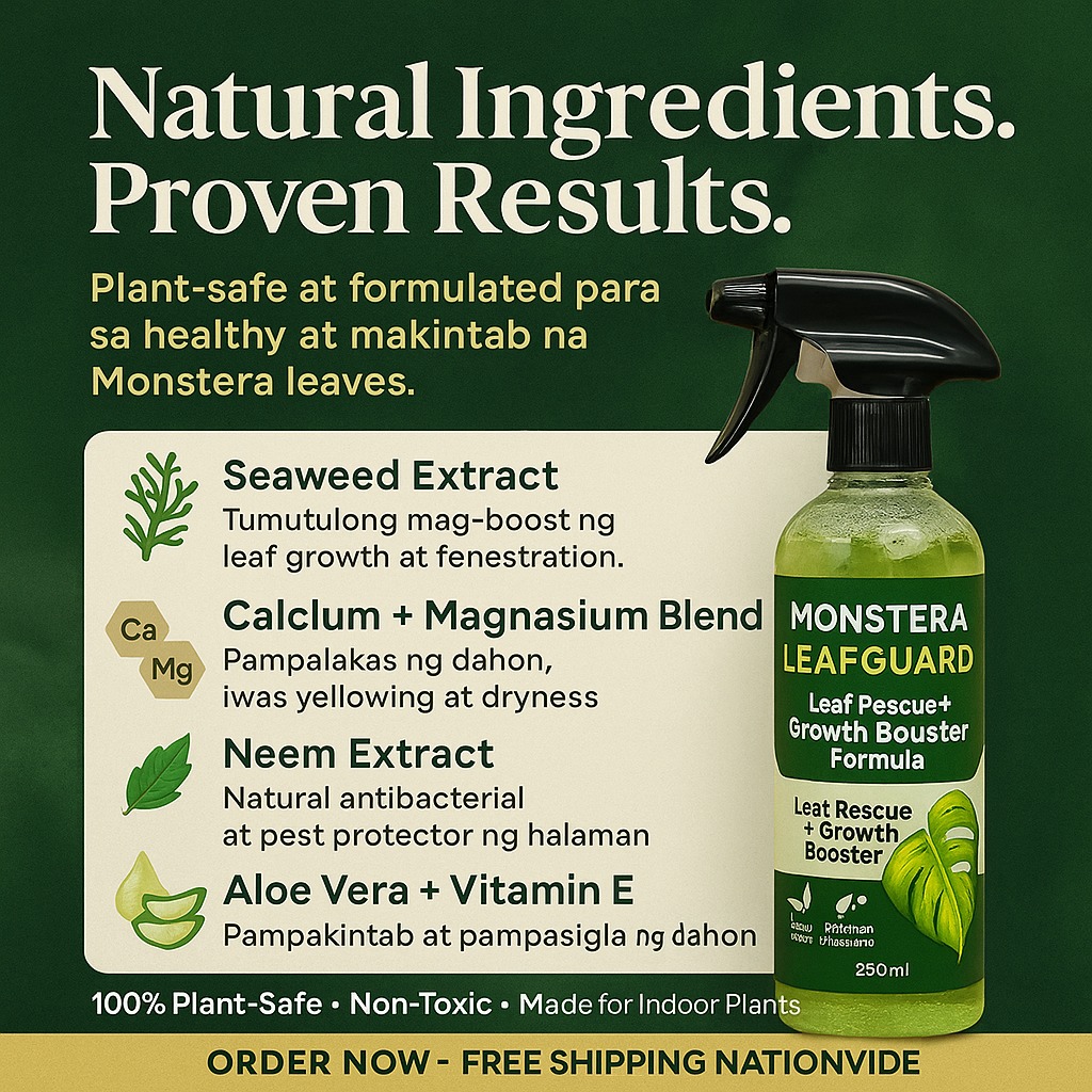 Monstera LeafGuard Spray Rescue Yellow Leaves Add Shine & Boost ...