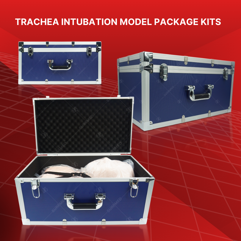 SURRMED Trachea Intubation Model | Airway Management Trainer for ...