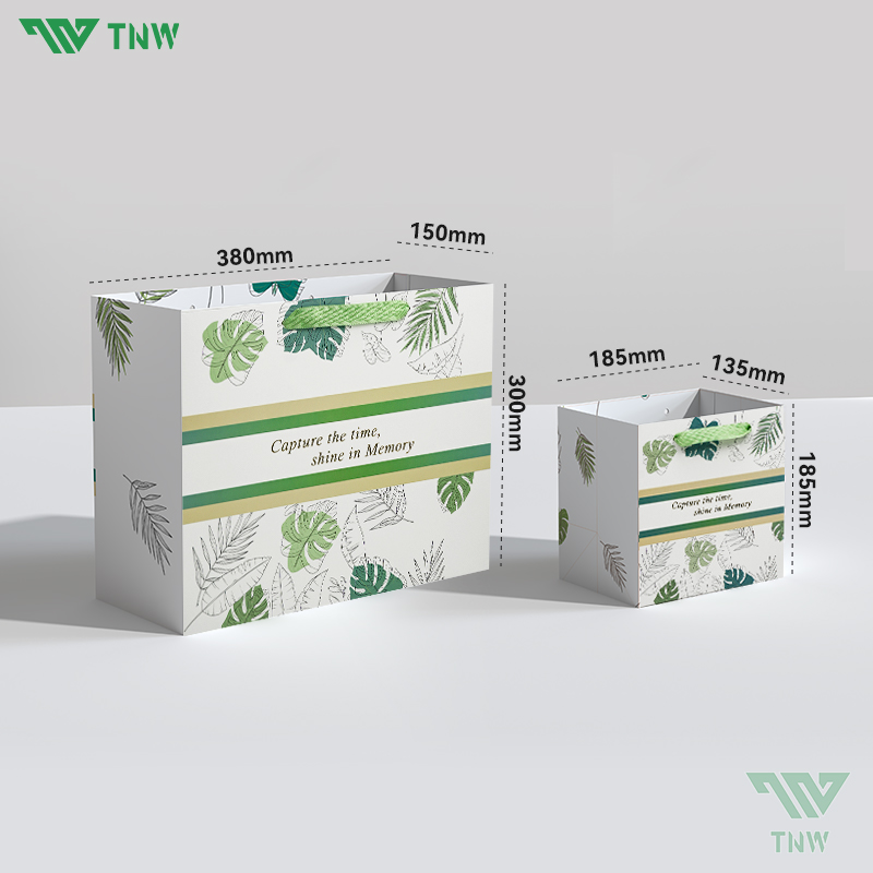 TNW Paper Bag Birthday Gift Bag Flowers Paper Gift Bags Handle Handbag ...