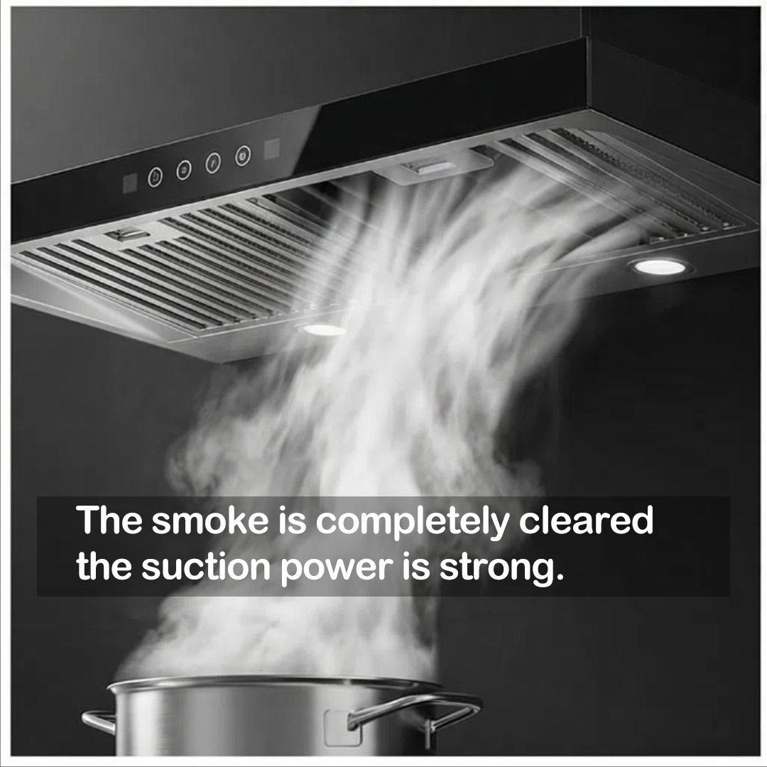 Tixx Range Hood For Kitchen 30m³/min Pull-out Range Hood High Suction ...