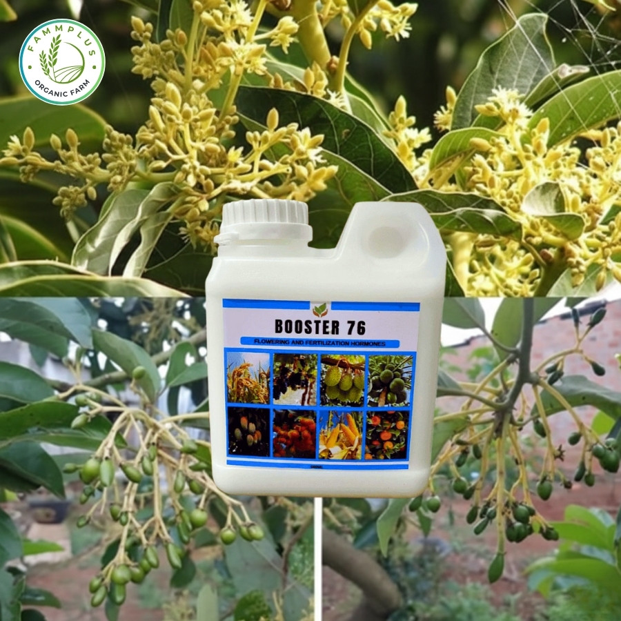 [BEST SELLER] BOOSTER 76 500ML Flower & Fruit Booster – More Flowers ...
