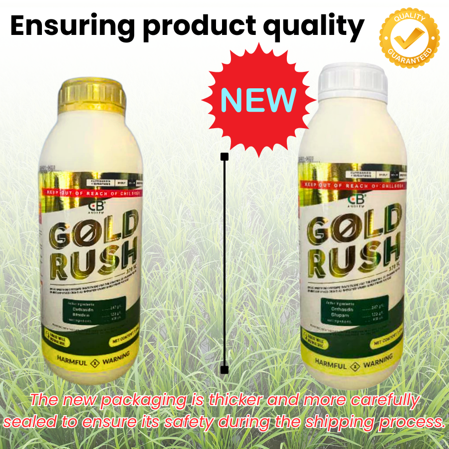 Gold Rush 370 SC Insecticide for Rice 500ml – Strong Control of ...