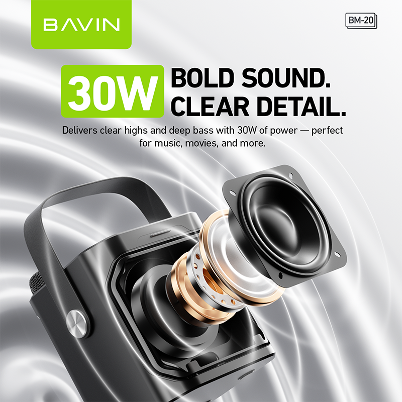 BAVIN BM20 Professional Karaoke Bluetooth Portable Speaker Dual ...