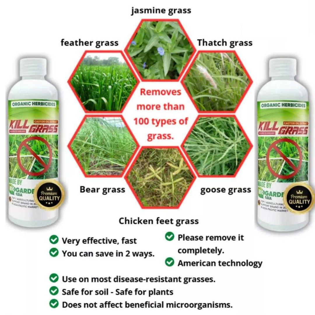 KillGrass - Organic Herbicide from Castor Oil (GrassKiller) 500ml ...