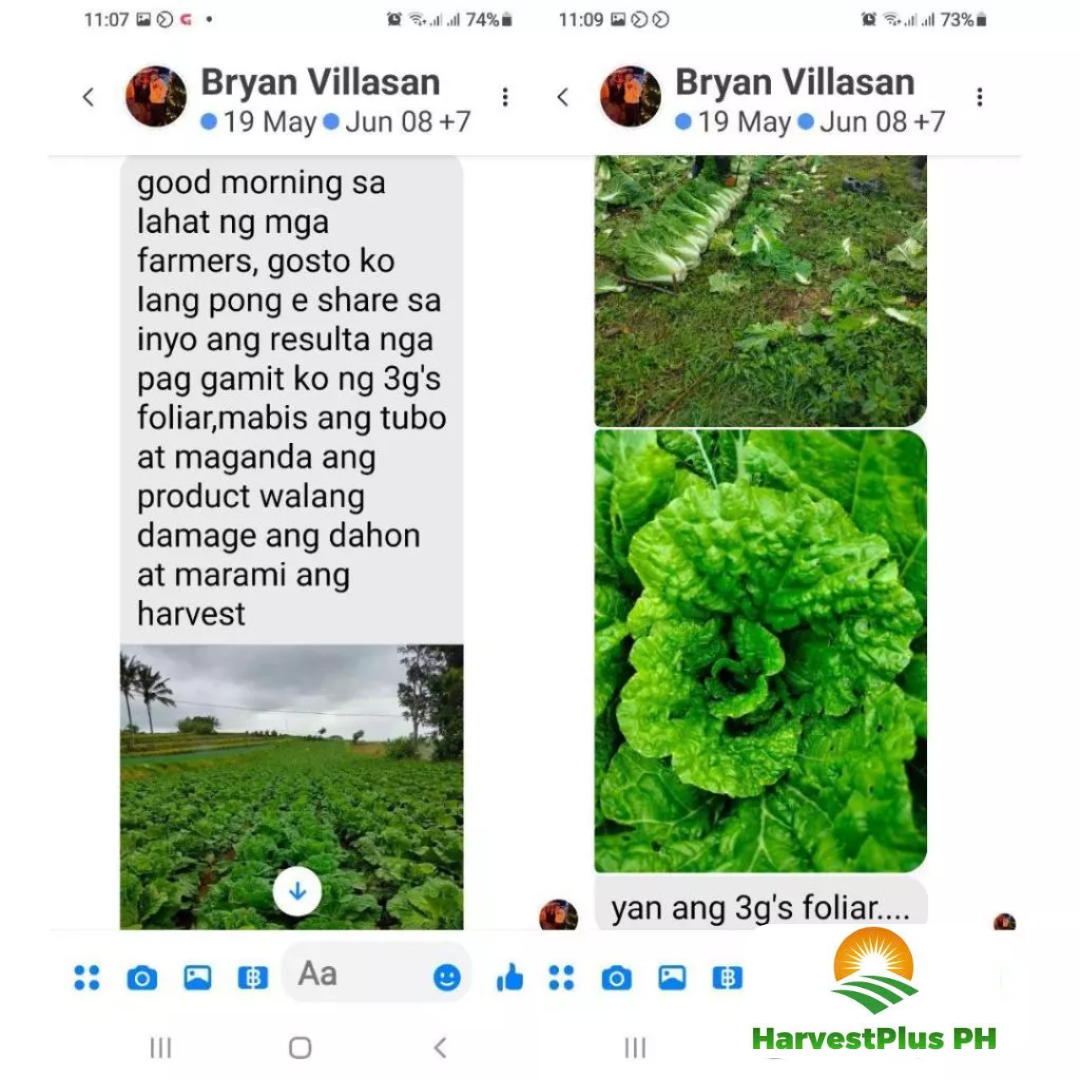 3gs foliar organic liquid all in one fertilizer-250ml/500ml | Shopee ...