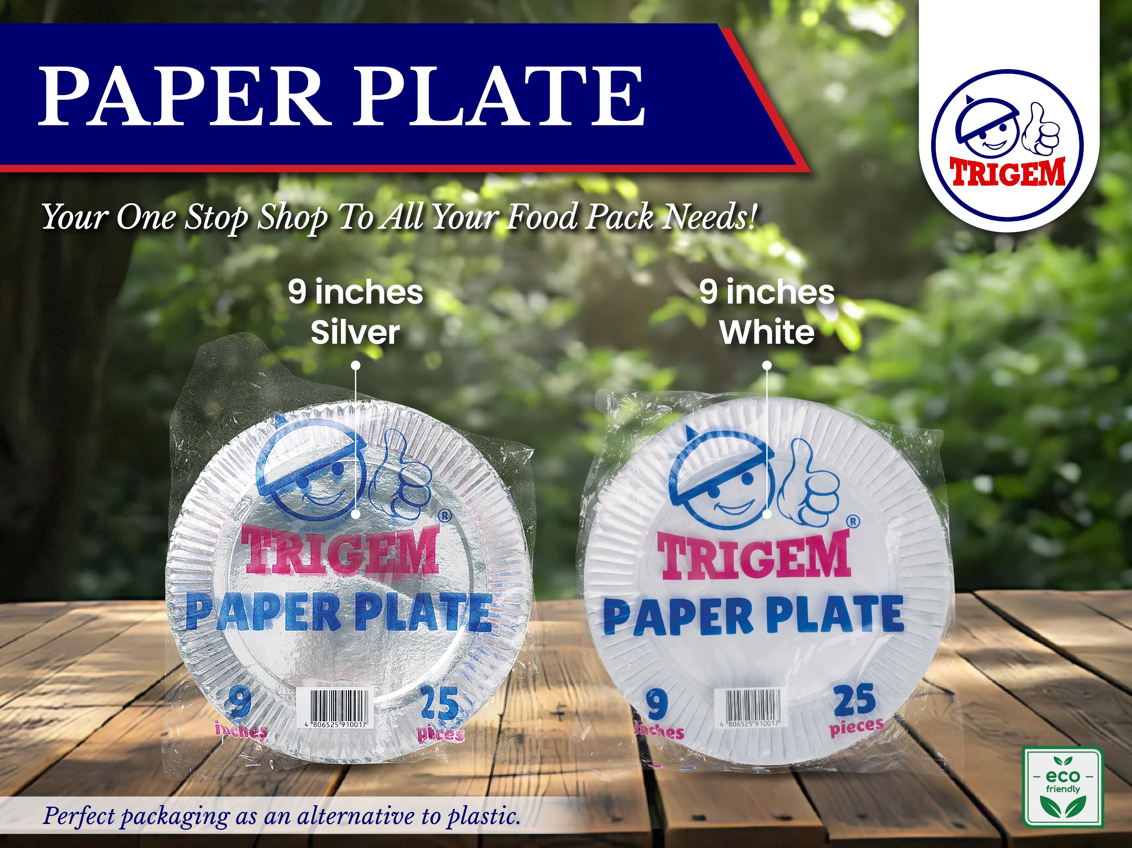 [ 25 Pcs Per Pack ] TRIGEM Paper Plate Plain Silver / White 9 Inches ...