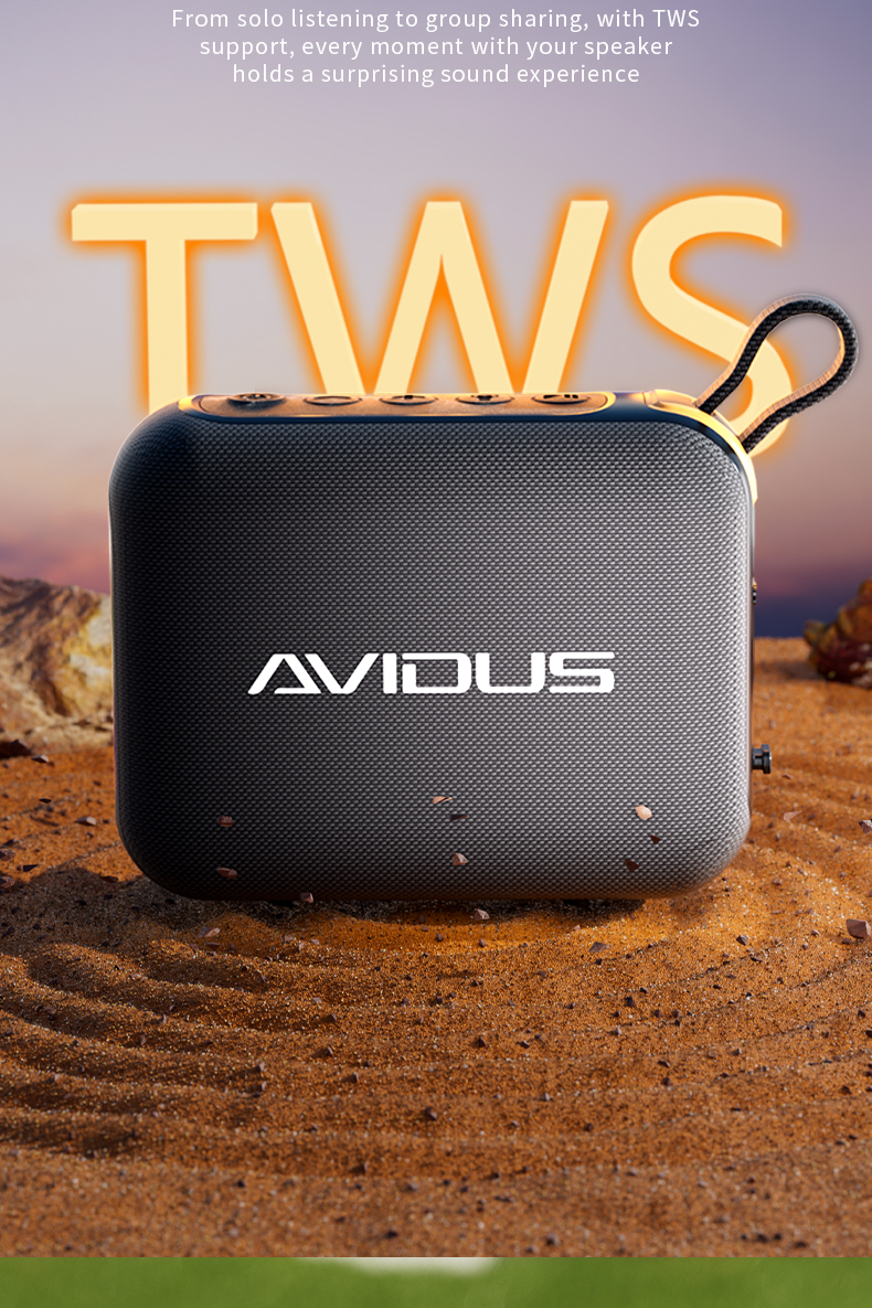 AVIDUS X10 Portable Wireless Bluetooth Speaker TWS Big Speaker 10W HiFi ...