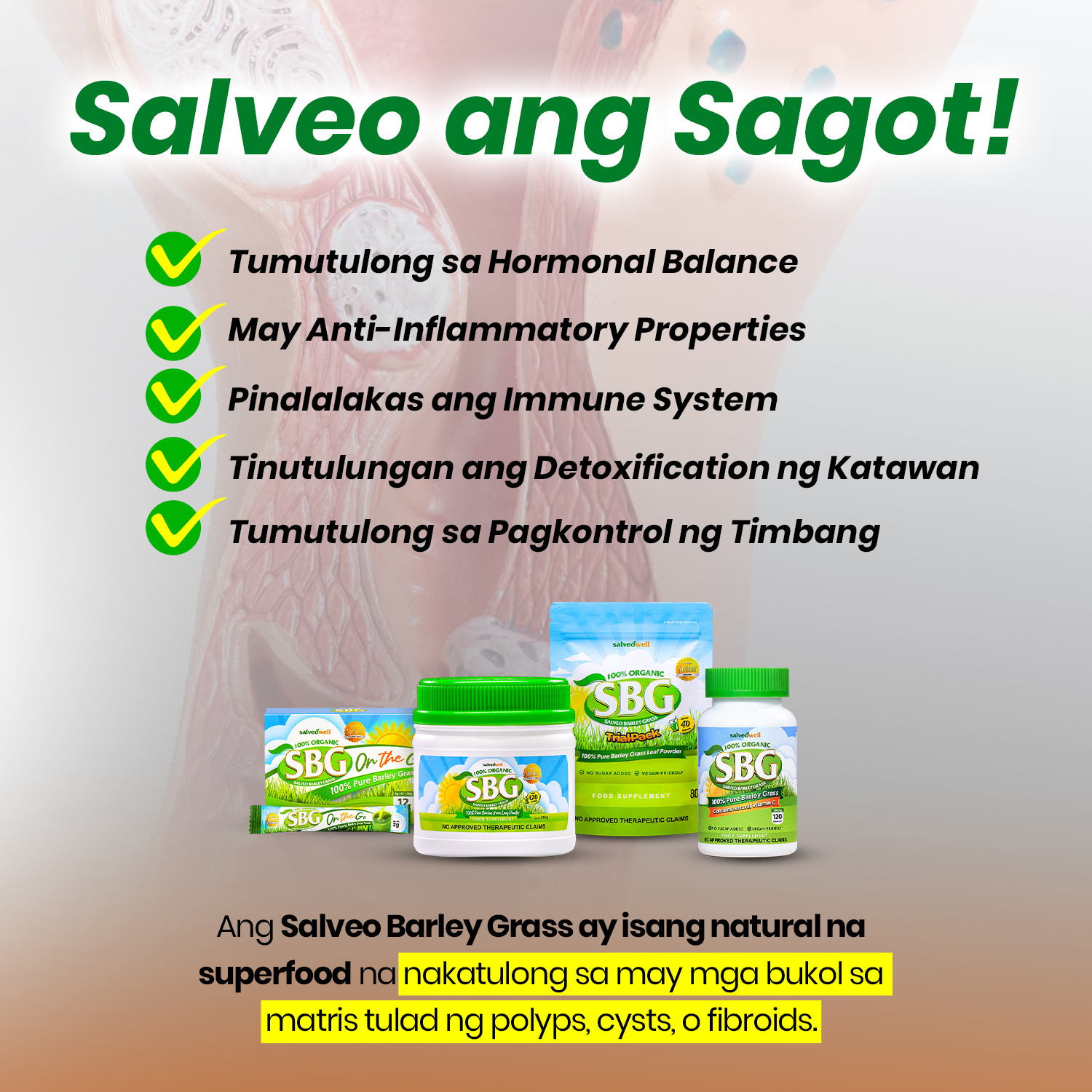 DNSPH - SBG On The Go 100% Pure and Organic Salveo Barley Grass Powder ...