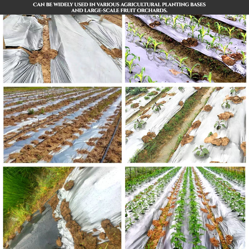 Plastic Mulch 0.8m x 650m 10 Microns Crop cultivation Crop protection ...