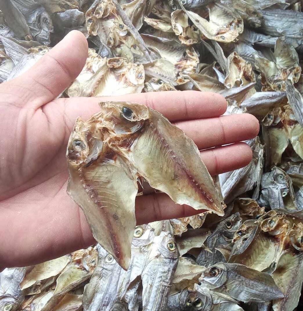 Boneless Danggit 50 Grams | Shopee Philippines