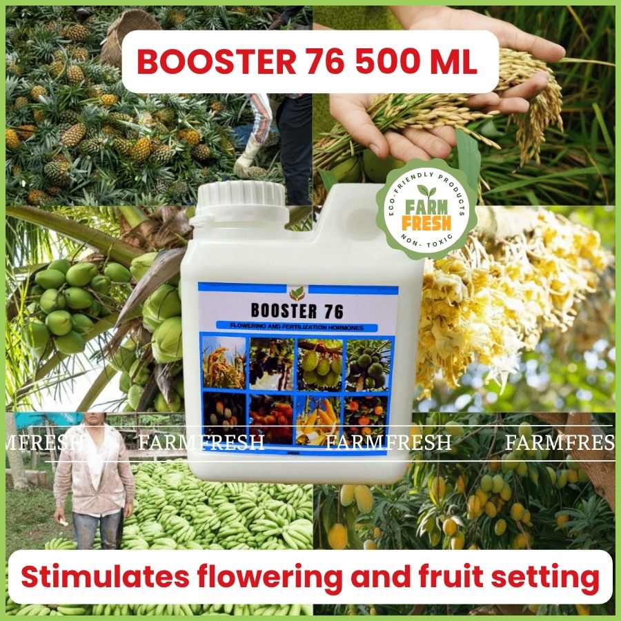 BOOSTER 76 500ML– Organic fertilizer for plantations, boosts flowering ...