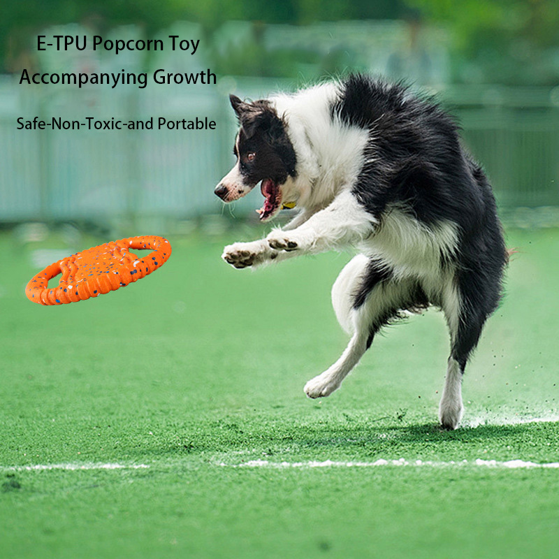 Dog Frisbee: Bite-Resistant, Specialized for Dog Training, a Pet Flying ...