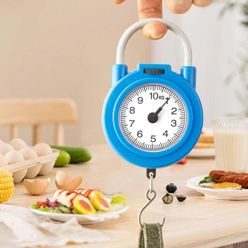 10kg Portable Hanging Mechanical Scale High Accuracy Kitchen Spring ...