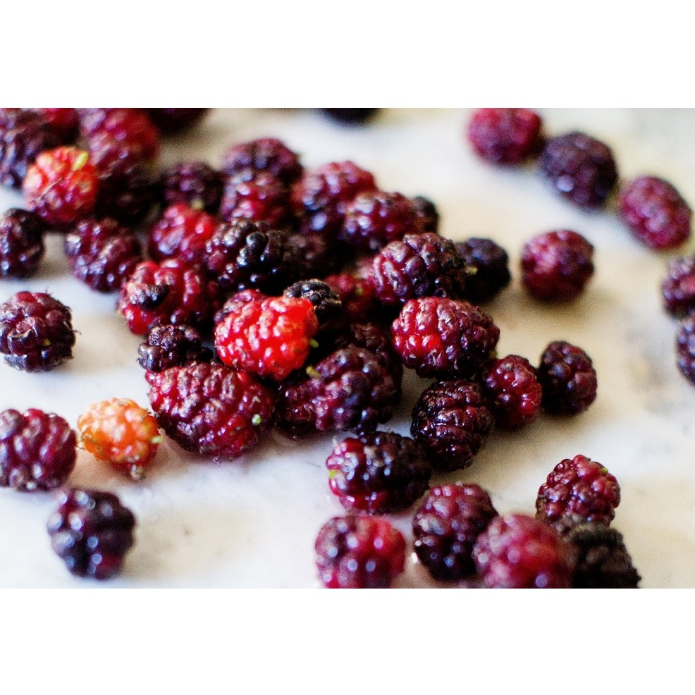 Mulberry Apple Cake – Healthy Low-Calorie Snack for Diet & Energy Boost ...