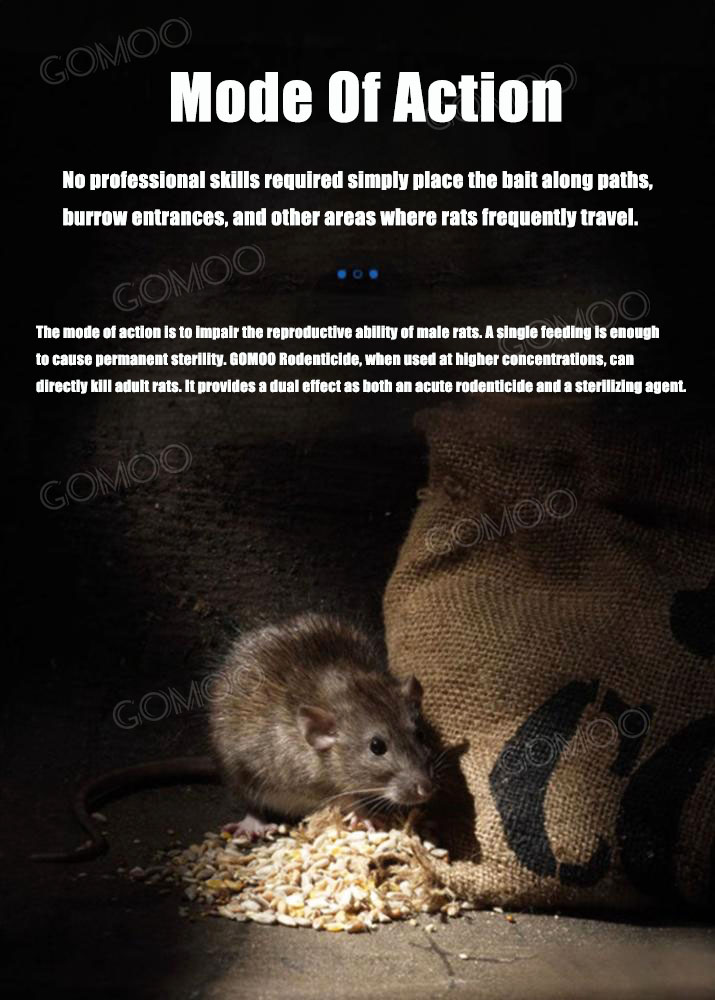 GOMOO Rat Poison Powder 20pcs RODENTICIDE Powerful Home RAT POISON Rat ...