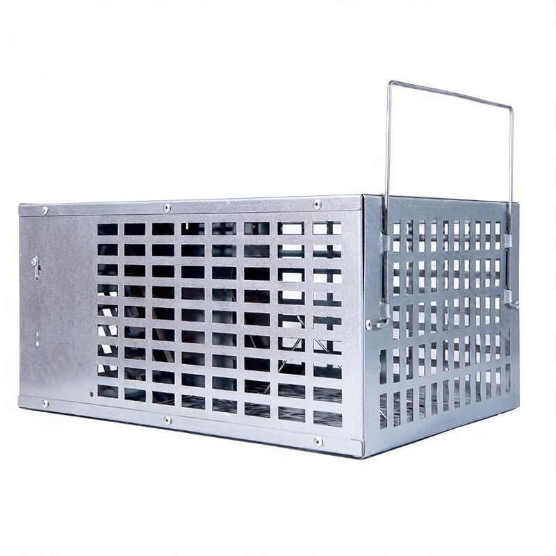 【COD】Mouse trap double-door big mouse rats live trap cage Pest Control ...