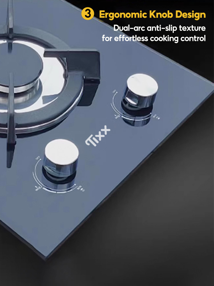 Tixx Gas Stove Double Burner Stainless Steel Gas Stove with Drip Pan ...