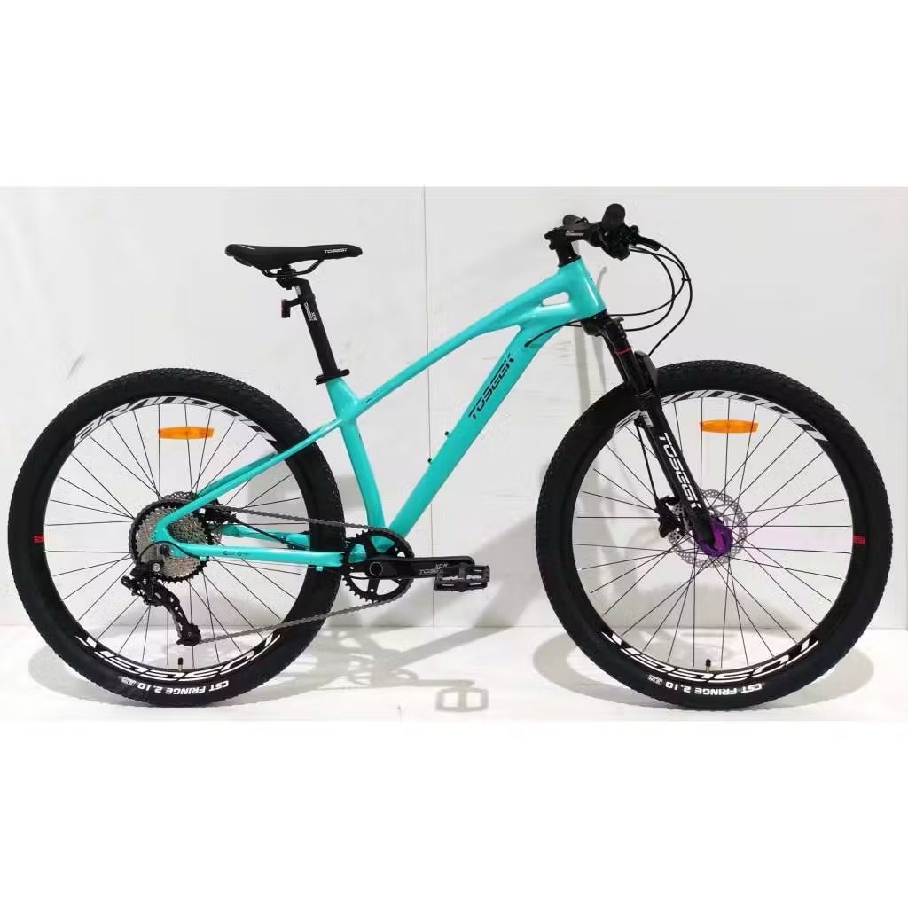 Toseek Brandon V3 29er 2026 Model 1x10Speed Hydraulics With Freebies ...