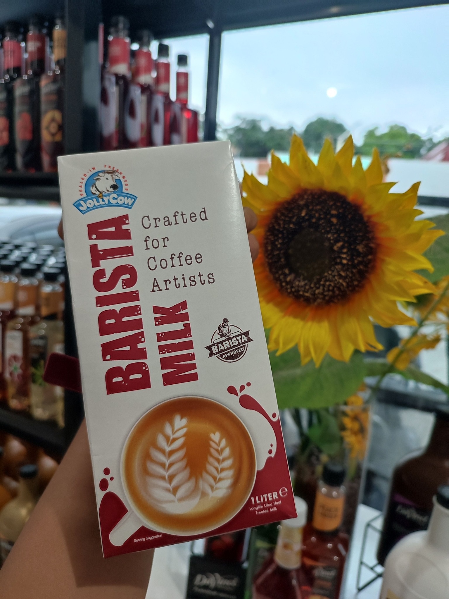 JOLLY COW Barista Milk 1L x6 x9 x12 | Premium Smooth & Creamy Coffee ...