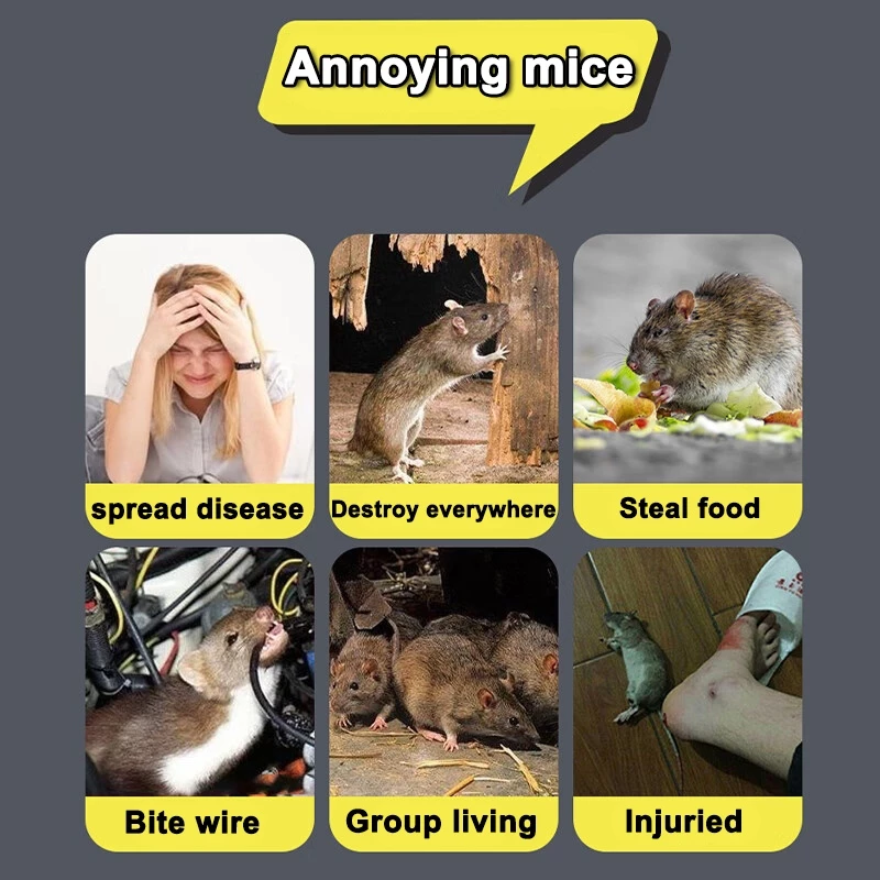 No rats all year round 200g Remove mice rat killer rodenticide rat ...