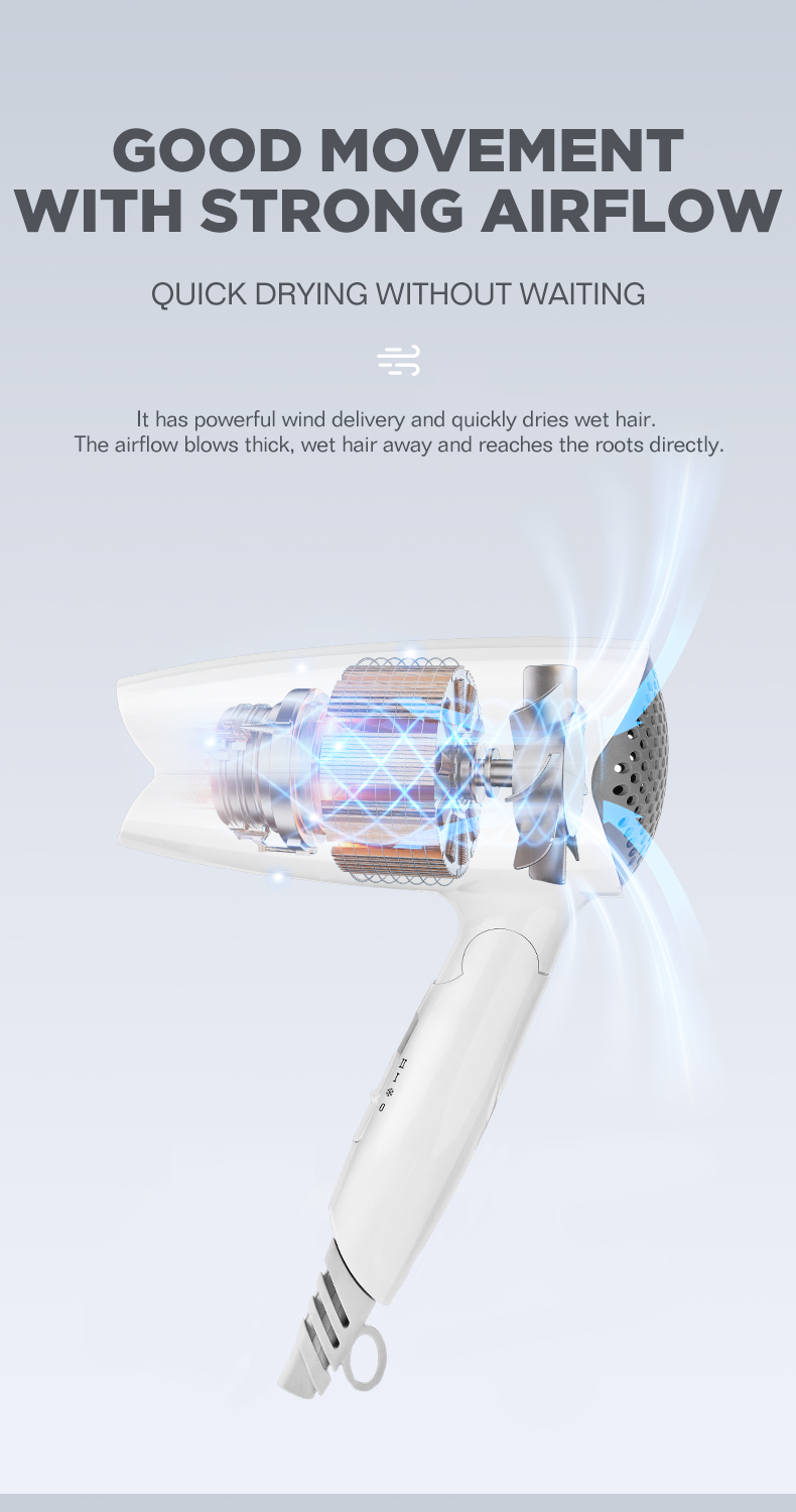 Dreepor Professional Salon Blower Hair Dryer Hair Blower Quick Dry High ...