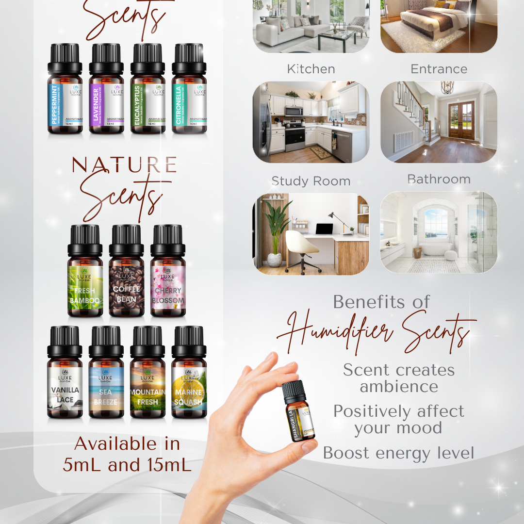Water-Soluble Hotel Scent – Essential Oil Blend for Humidifier | Shopee ...