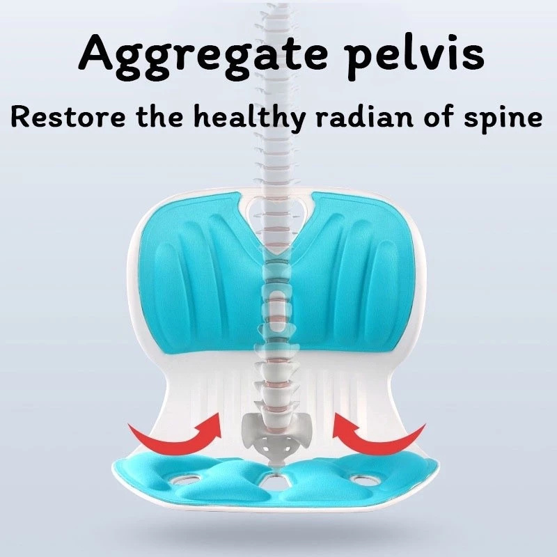 Posture Corrector Chair Office Seat Cushion LumbarBack Support Chair ...