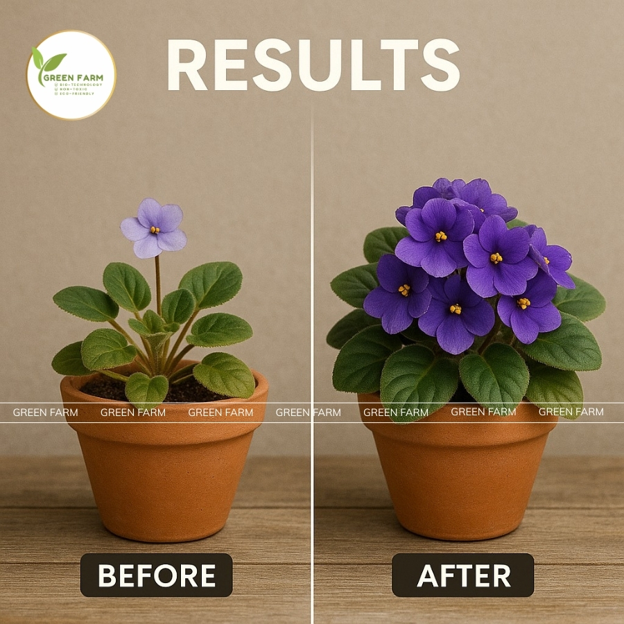 Bloom Max Ultra Fertilizer 250ML - Liquid Bloom Enhancer to help plants ...