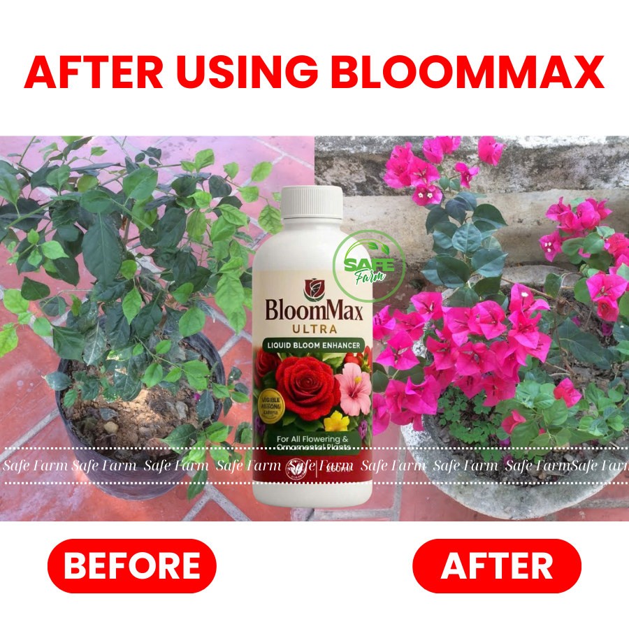 [BIG DEAL] Bloom Max Ultra – Premium Organic Fertilizer for Vibrant ...