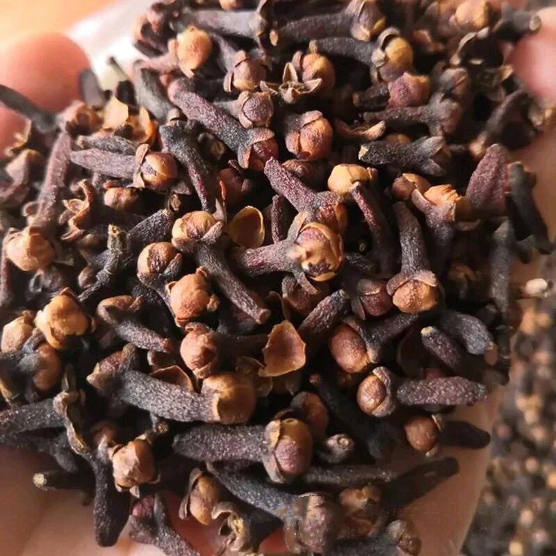 Whole India Dried Cloves/ Pure Original Cloves for Hair Growth (50g ...