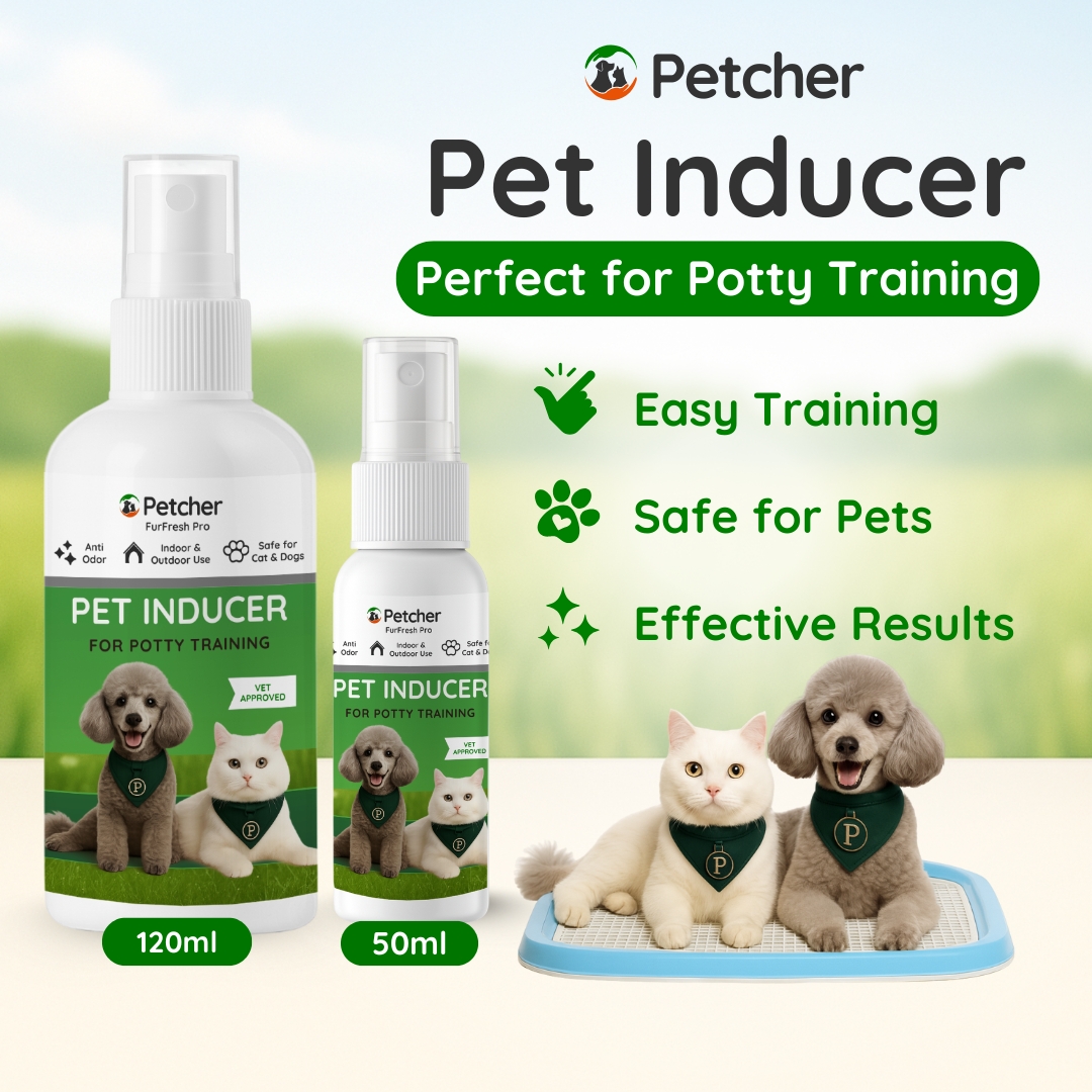 Petcher Potty Trainer Dog Spray 50ml Pet Inducer Potty Training Spray ...