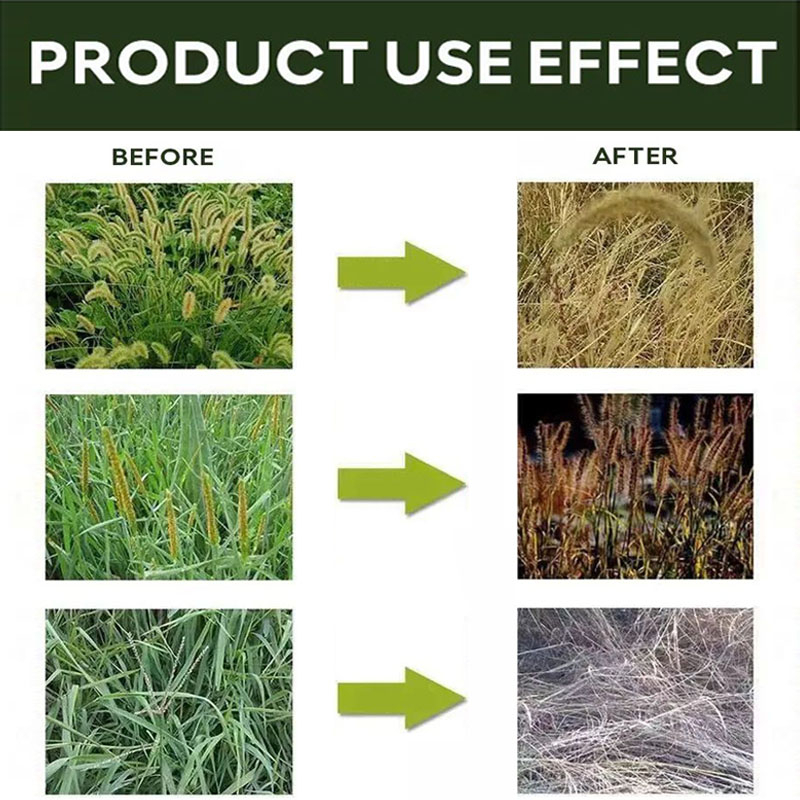 Grass and Weeds Weeds and Grass Killer Powder Grass Killer Chemical ...