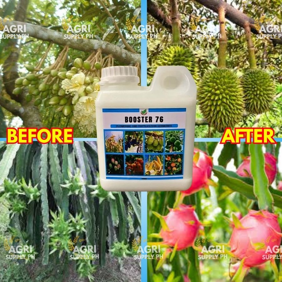 BOOSTER 76 for Fruits (500ML) – Reduce Flower Drop, Improve Fruit Set ...