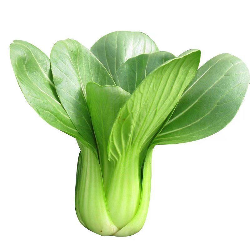 500 Yielding Variety Pak Choi Seed Pechay Seeds for Sale Vegetable ...