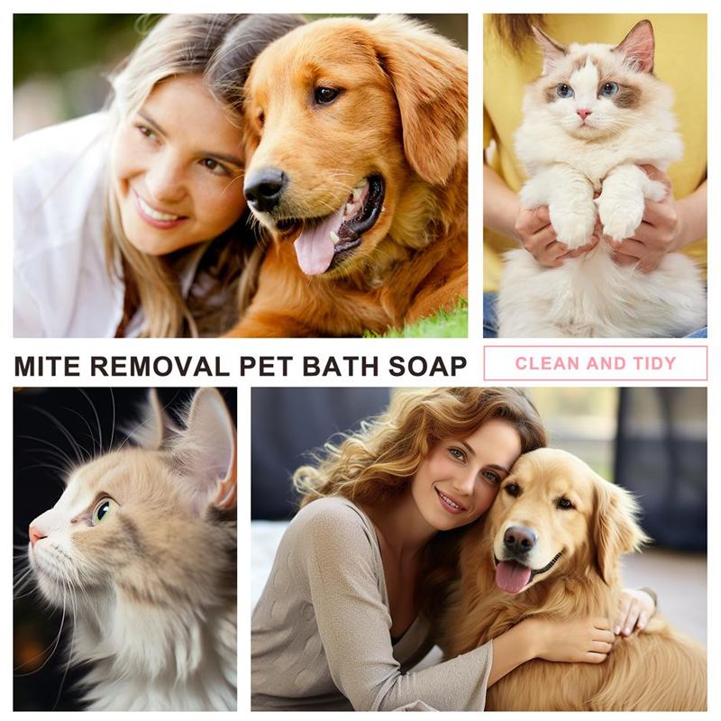 BUY 1 TAKE 1 Akiika Herbal Pet Soap 200g for Dogs and Cats Natural ...