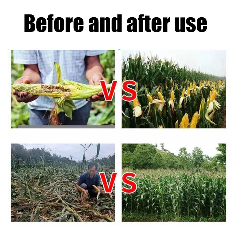 1000x stronger than a cat big rat killer poison 500g Harmless to people ...