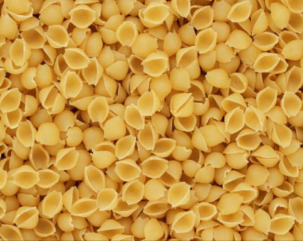 SHELL PASTA NEW LIFE 500GRAMS | Shopee Philippines
