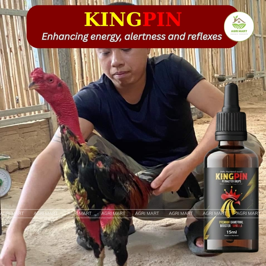 [NEW] KingPin 15ml – Enhance Stamina, Muscle Strength & Recovery for ...