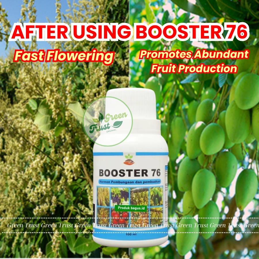 Booster 76 150ML – Boost Flowering, Increase Fruit Yield, and Improve ...