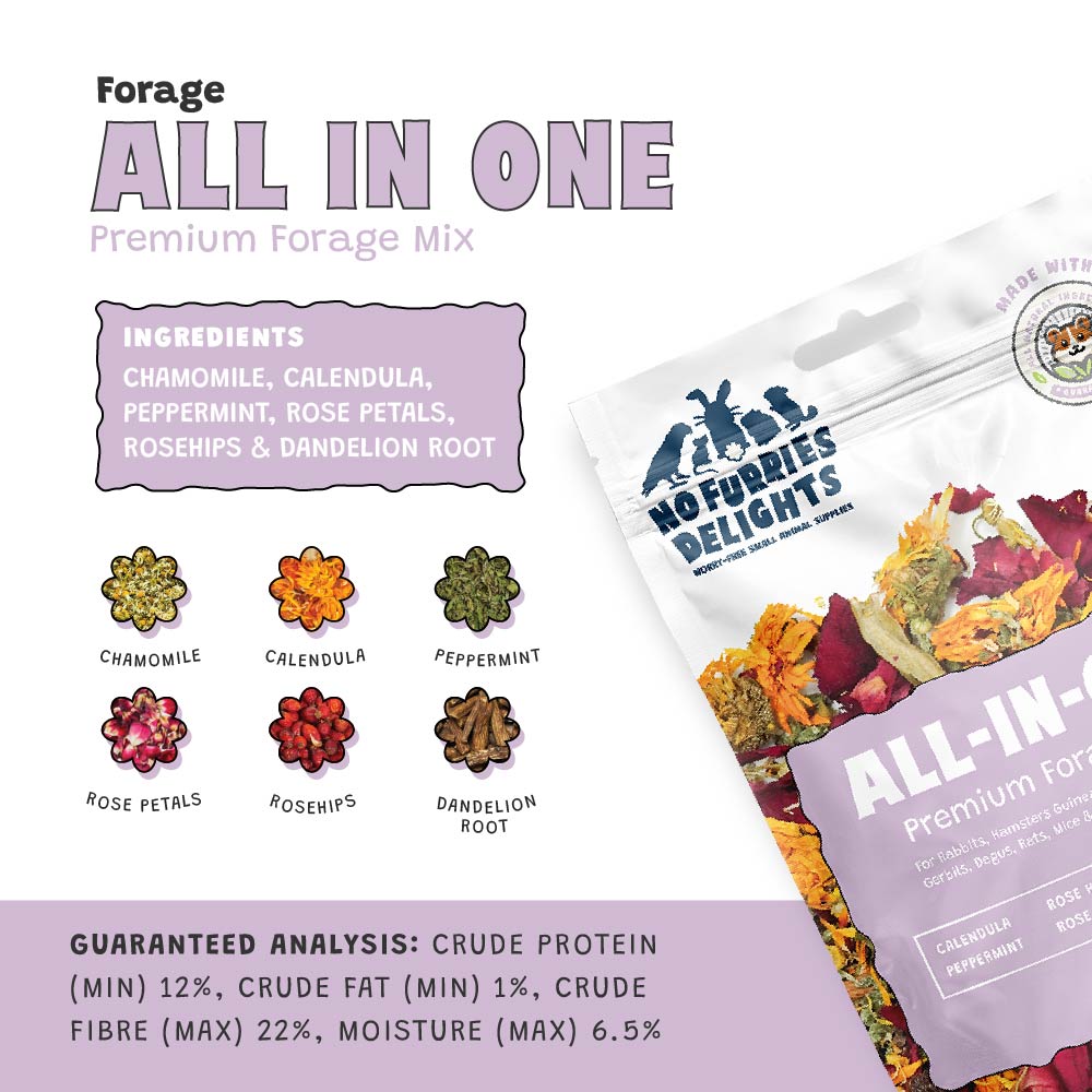 No Furries Delights Forage: ALL-IN-ONE Premium Mix (30g) Healthy Small ...
