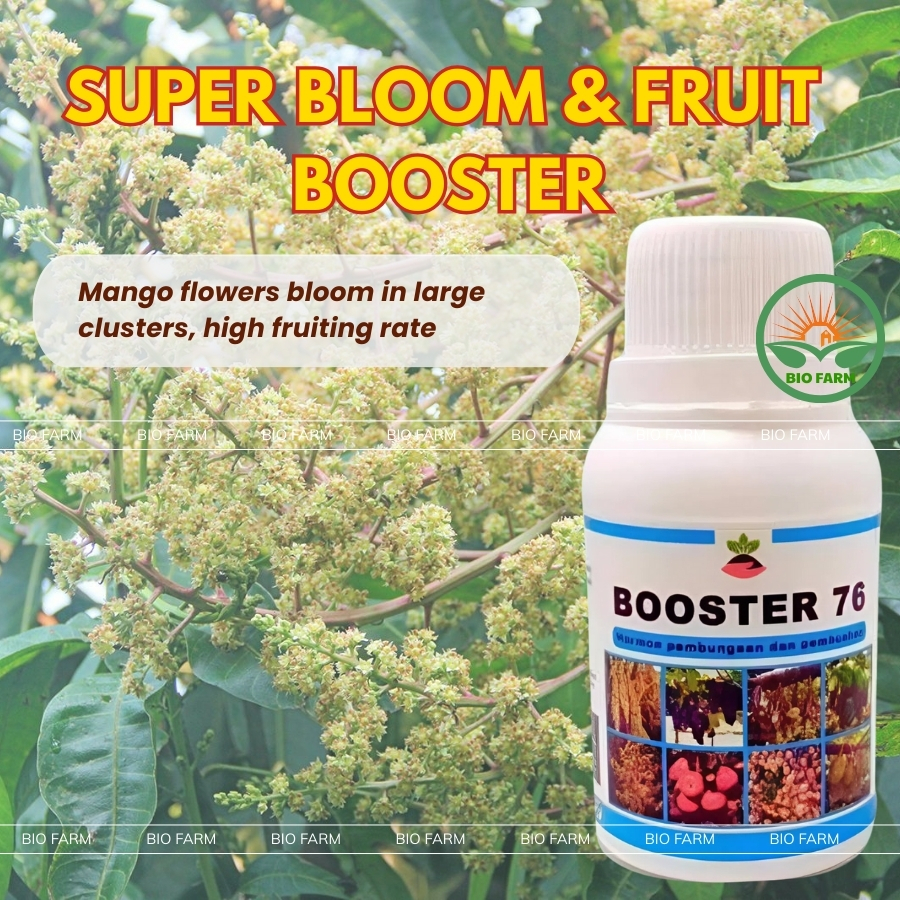 [BUY 1 GET 2] BOOSTER 76 fertilizer for vegetables and fruits - Soil ...