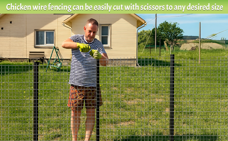 100m/50m Galvanized Welded Wire Mesh 1/2inch Rust Prevention Chicken ...