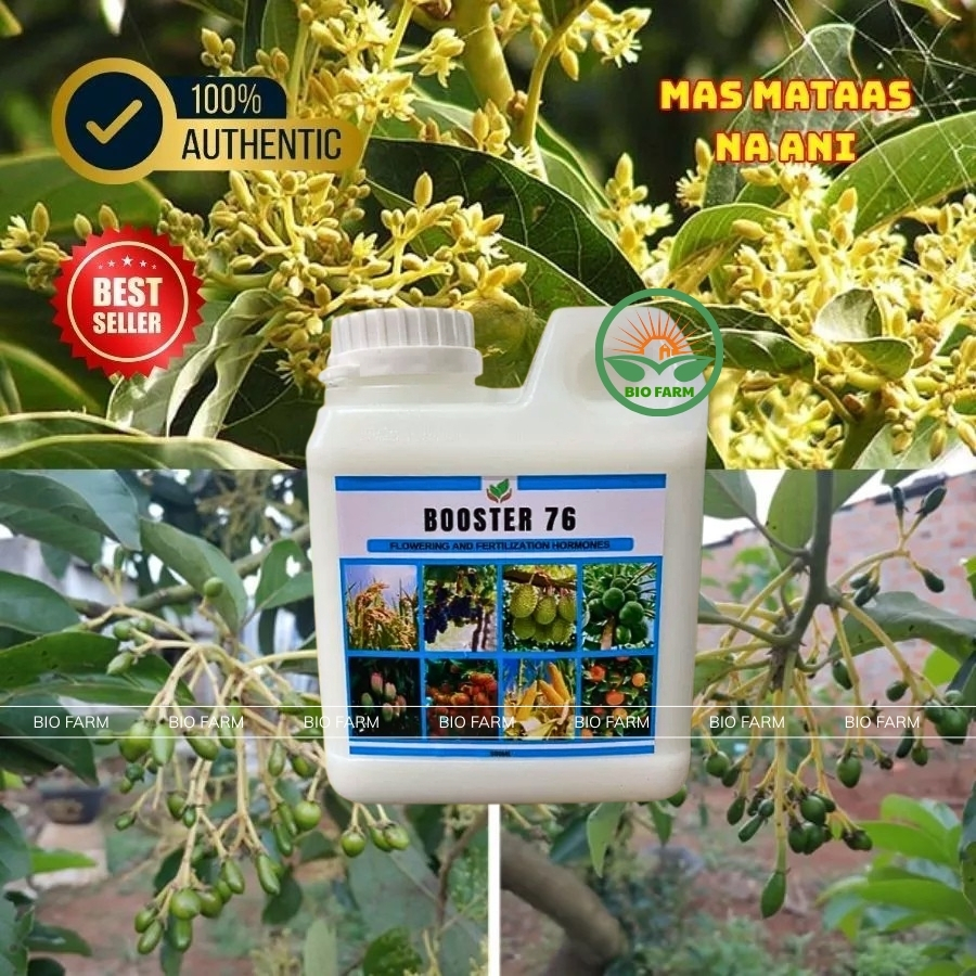 [BUY 2 GET 2 FREE] BOOSTER 76 Super growth ferilizer, Boost lowering ...