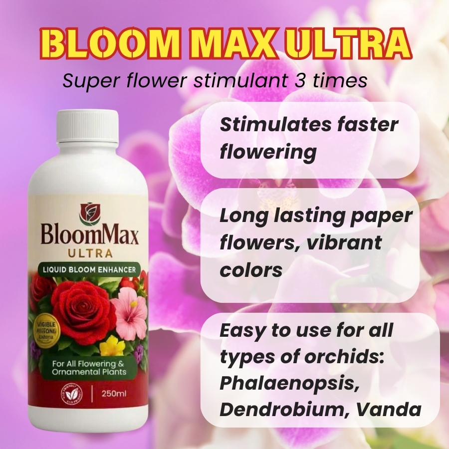 BLOOMMAX Specialized Blooming Booster 250G - Bloom Max Ultra fertilizer ...
