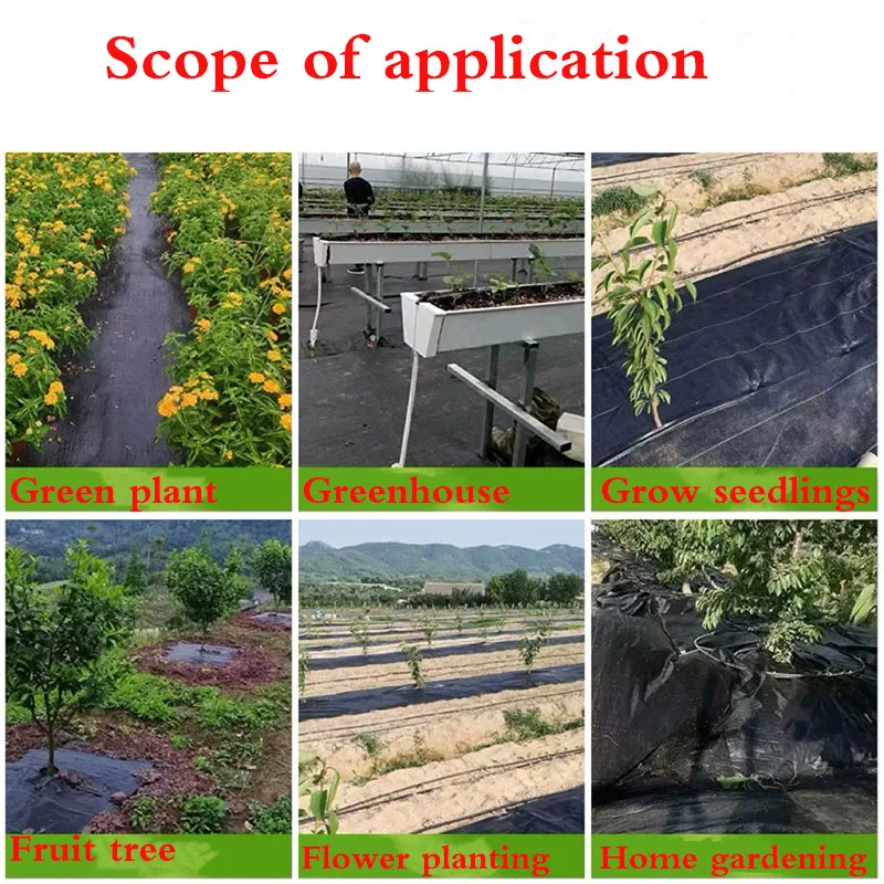 Plastic Mulch 0.8m x 650m 10 Microns Crop cultivation Crop protection ...